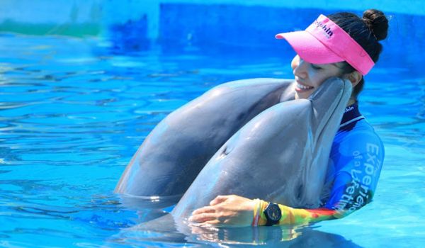 ≡ Sumérgete en la emoción de Nadar con Delfines en Nuevo Vallarta????️ ≡